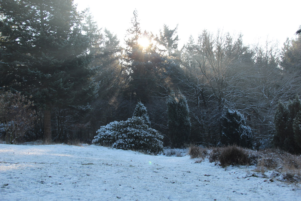 uitzicht-vanaf-de-engelse-kamp-2 - Mooivakantiehuisje.nl